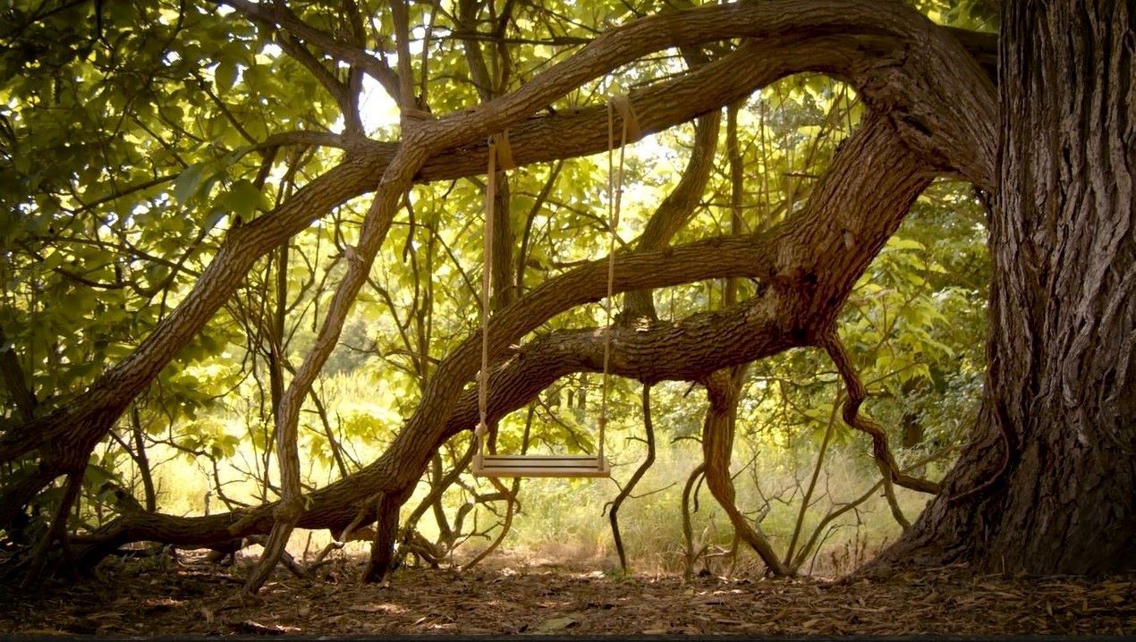 Welcome to the Havenstone - A Birthplace of Memories